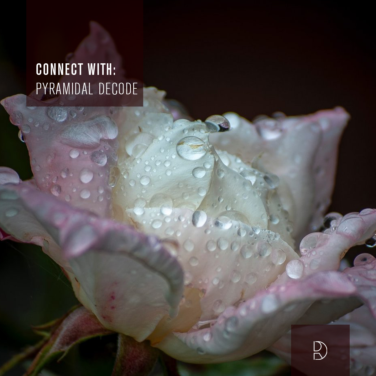 Home | Dynamic Reflection