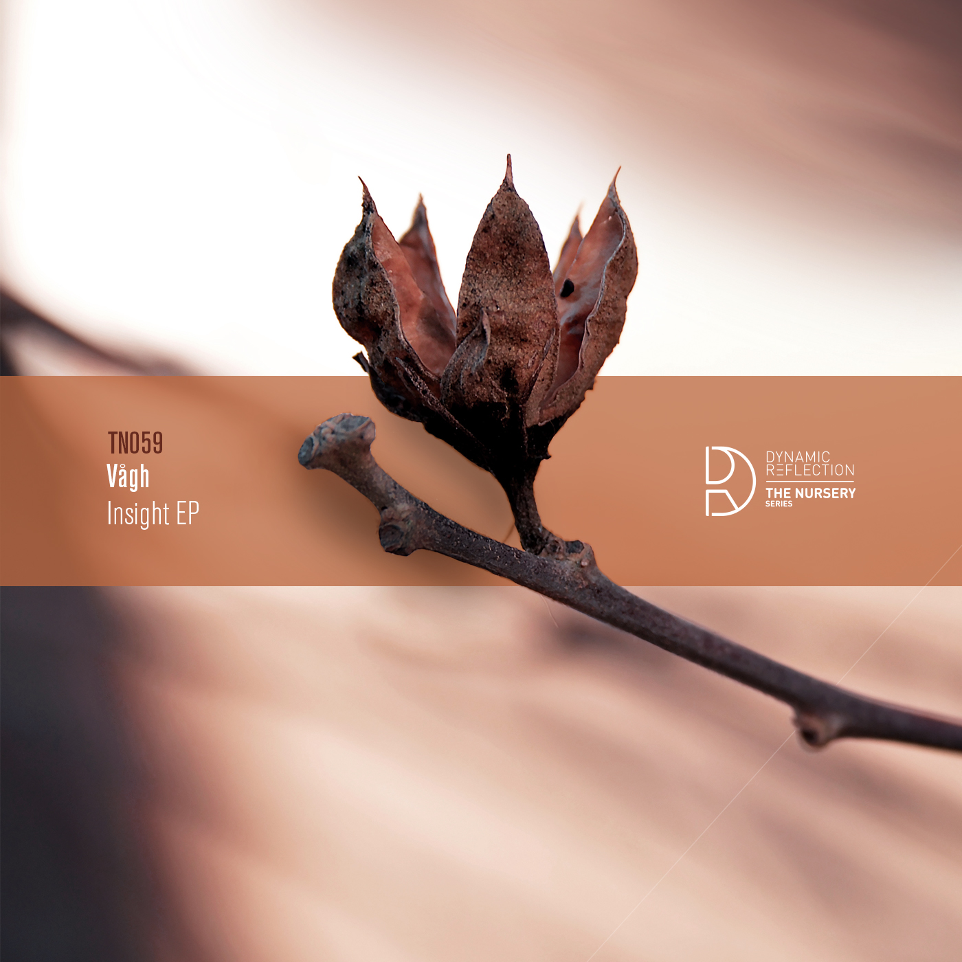 Home | Dynamic Reflection